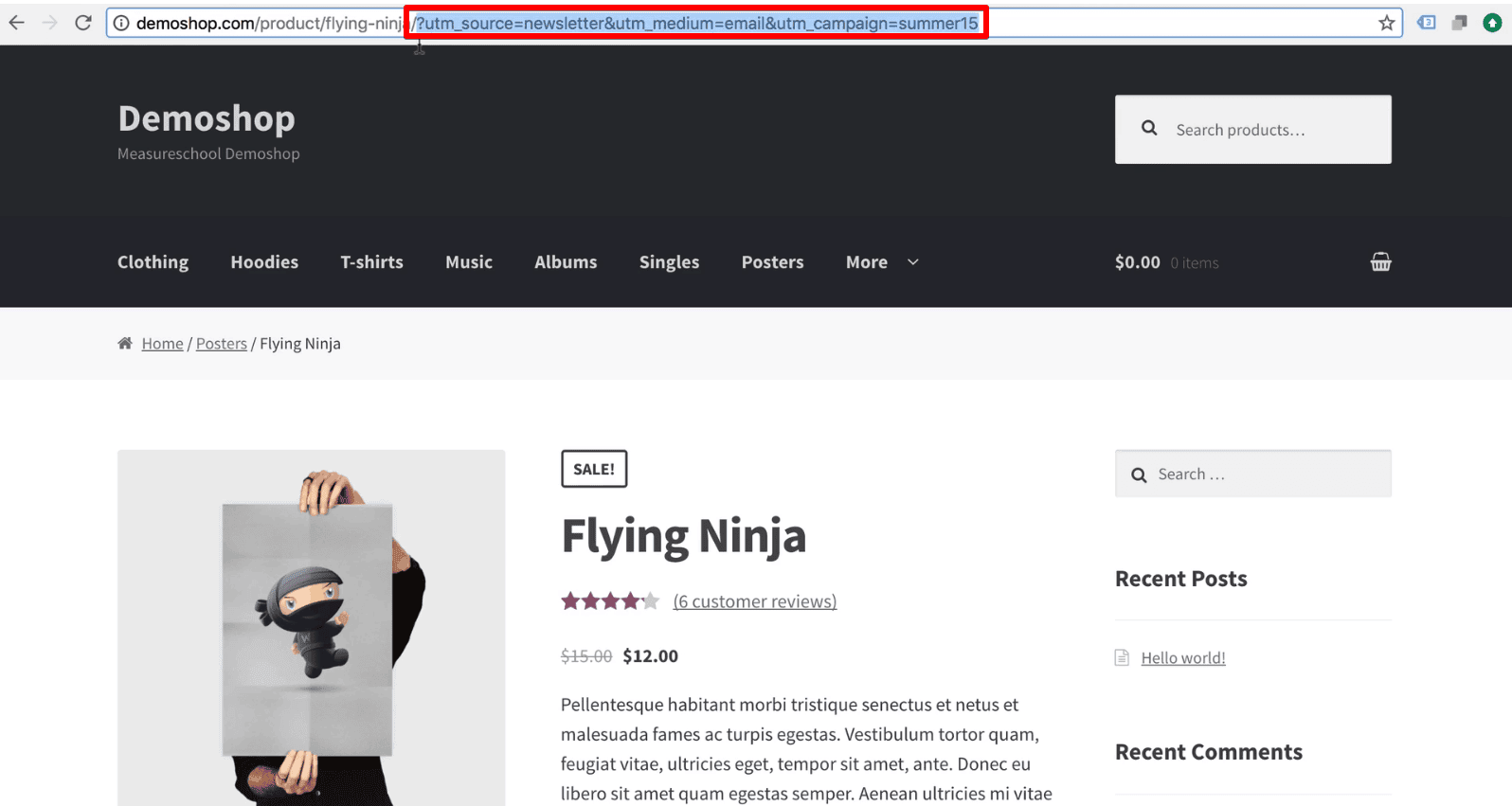 How to Use Query Strings and Parameters for Marketers - Fully Explained